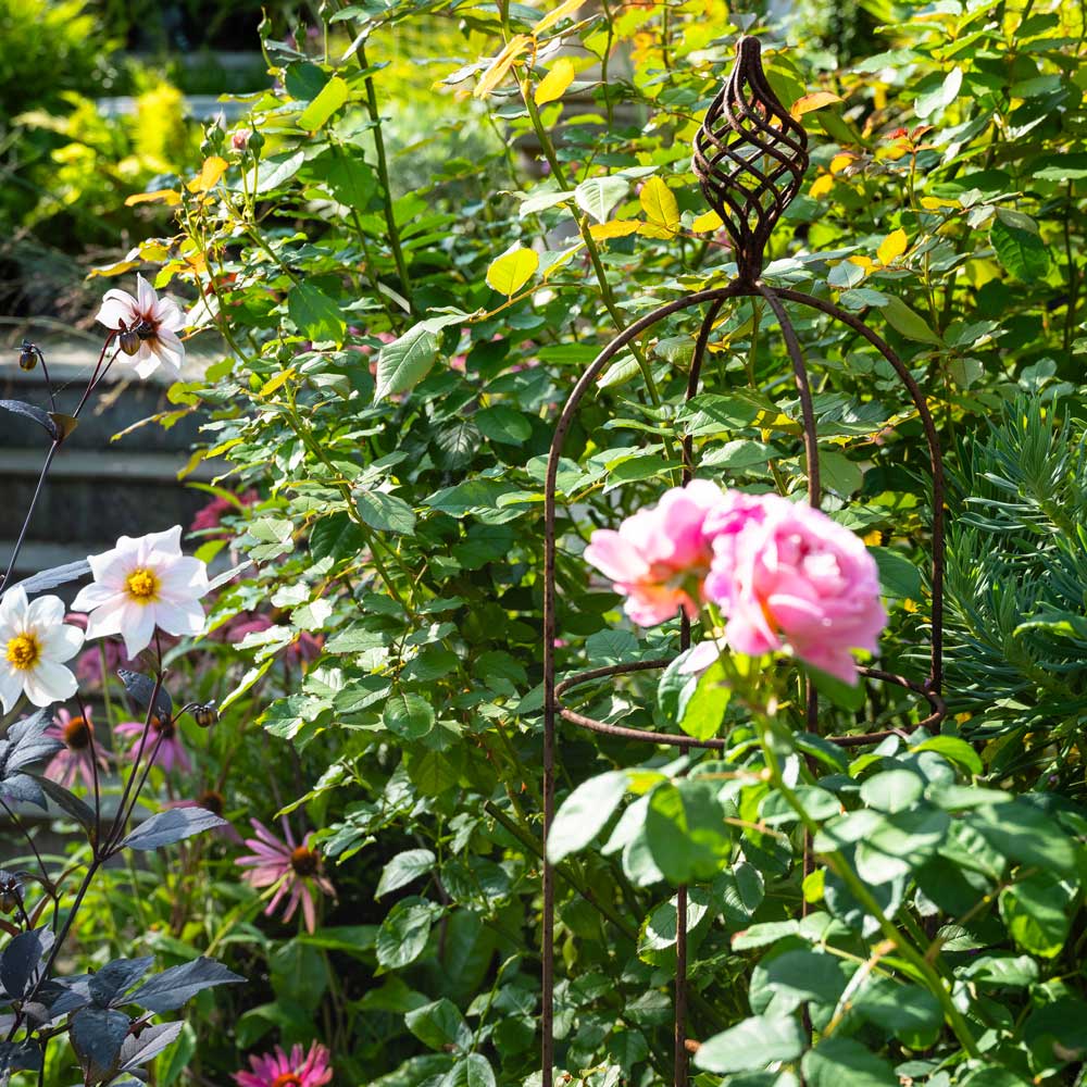 How To Choose The Right Obelisk For Your Garden | Agriframes USA