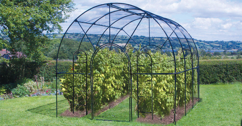 Domed Fruit Cages | Agriframes US | Agriframes USA