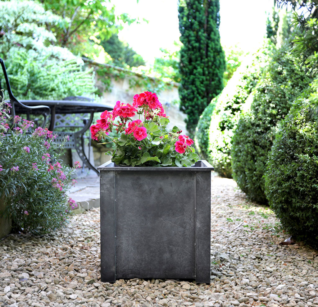 Vintage Zinc Metal Planter | Decorative Planters | Agriframes USA
