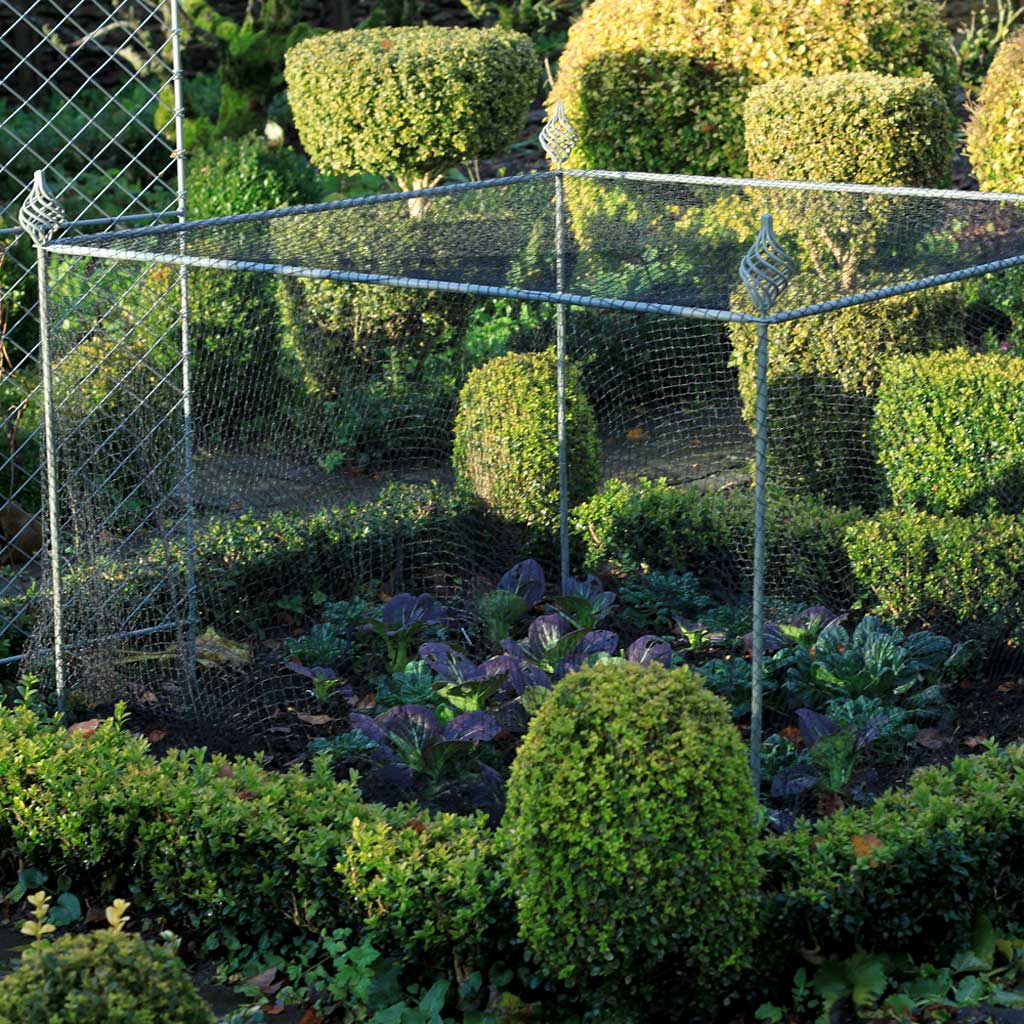Large Crop Cage | Fruit Cages | Agriframes USA