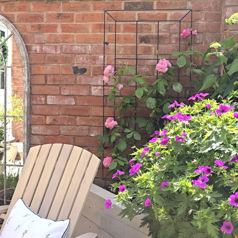 Georgian Window Trellis | Garden Trellis | Agriframes USA