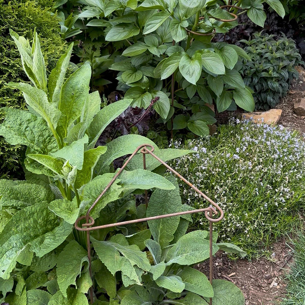 Lock & Link | Plant Supports | Agriframes USA