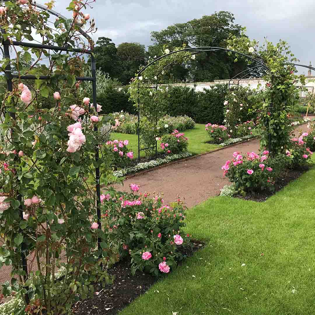 Monet Garden Arch I Garden Arches | Agriframes USA