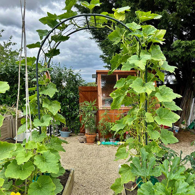 Round Garden Arch | Garden Arches | Agriframes USA