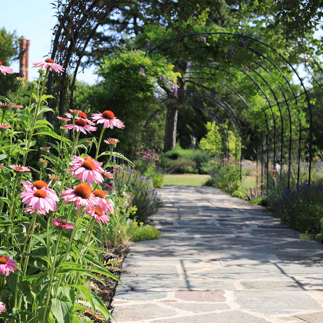 Round Pergola | Metal Pergolas | Agriframes USA
