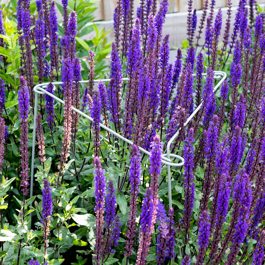 Lock & Link | Plant Supports | Agriframes USA