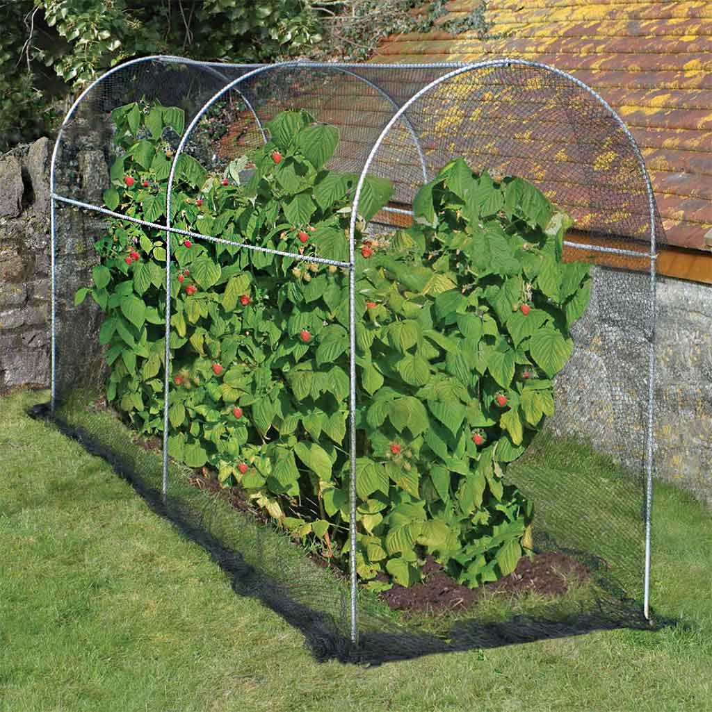 Elegance Long Fruit Cage | Fruit Cages | Agriframes USA