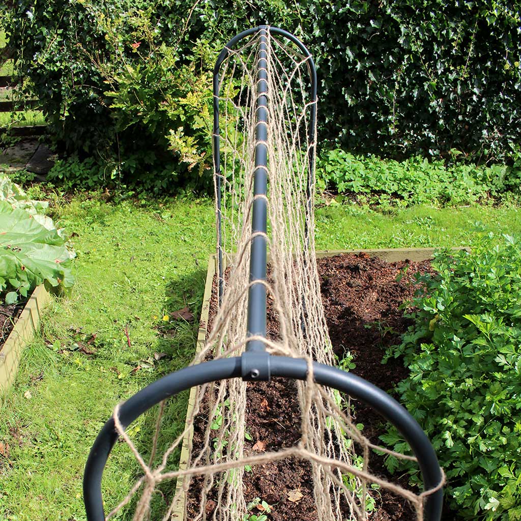 Pea & Bean Hoops | Plant Frames | Agriframes USA