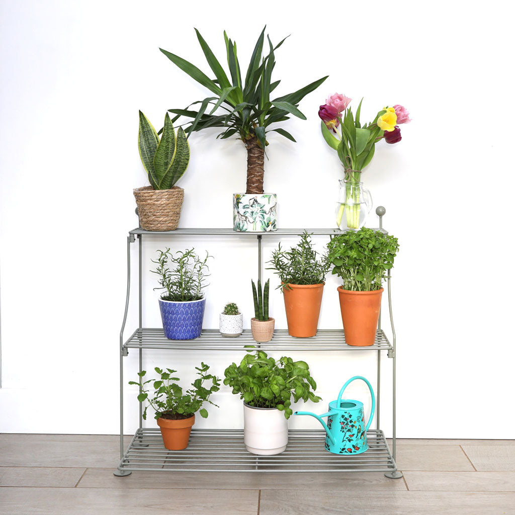 Elegance Tiered Plant Stand | Agriframes | Agriframes USA