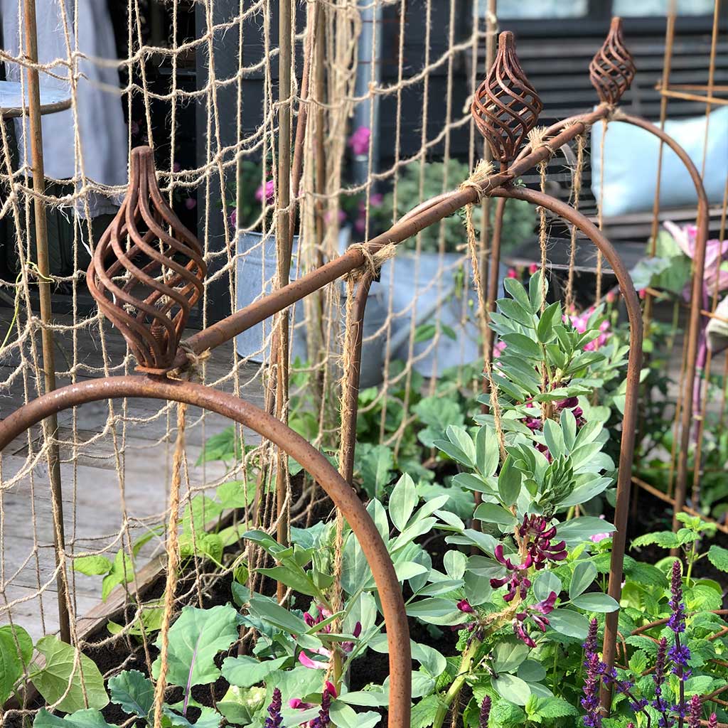 Elegance Pea & Bean Hoops | Agriframes USA