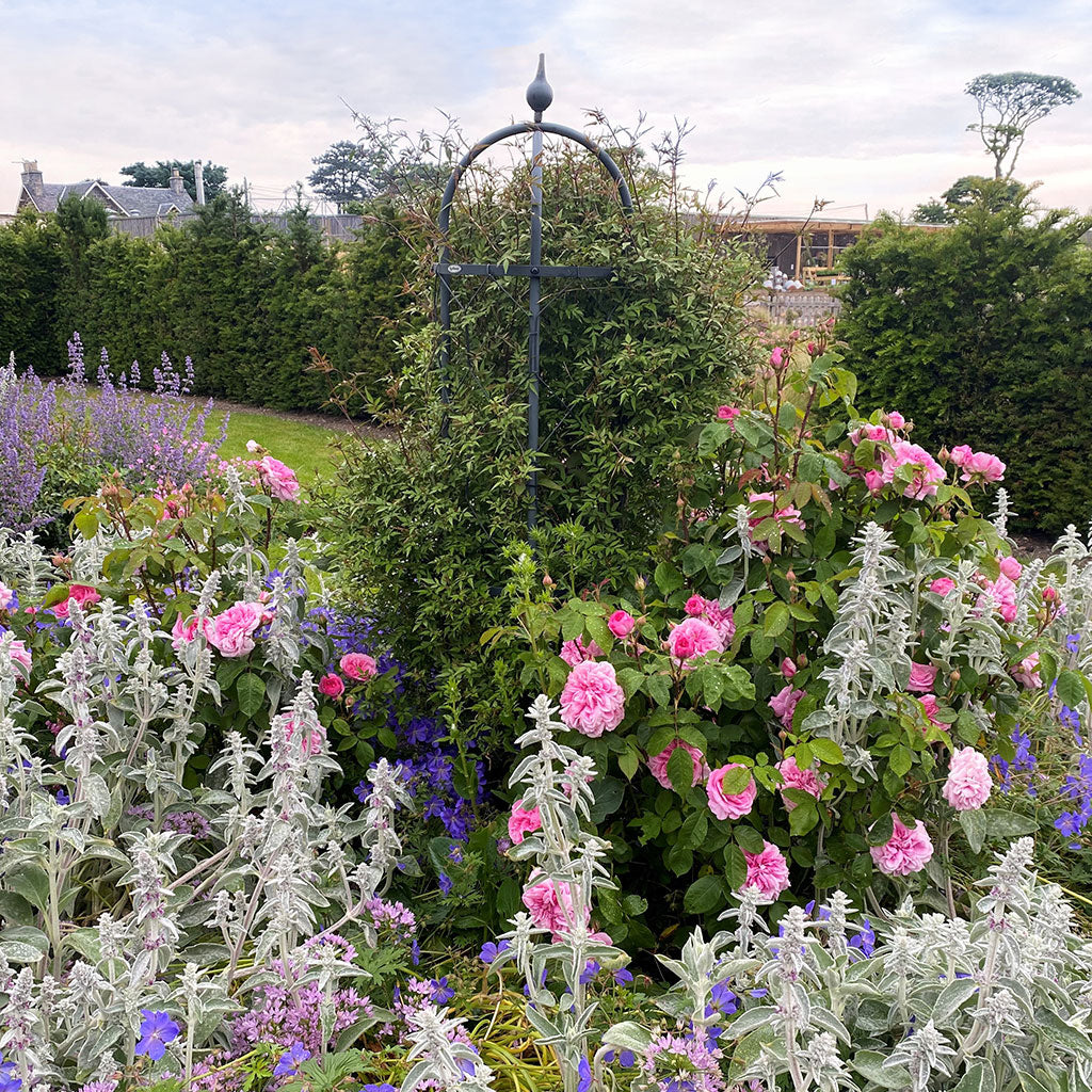 Rose Obelisk | Garden Obelisks | Agriframes USA