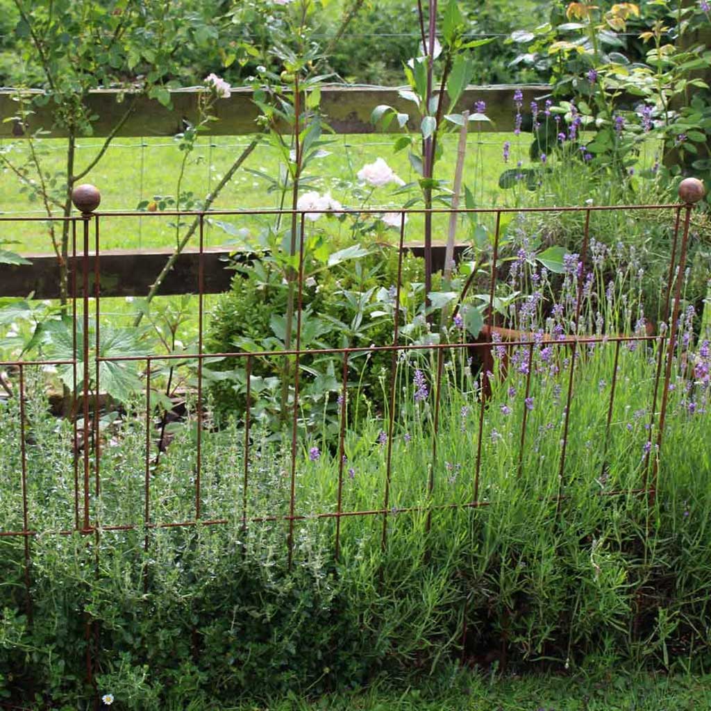 Elegance Pea & Pest Fence | Plant Frames | Agriframes USA