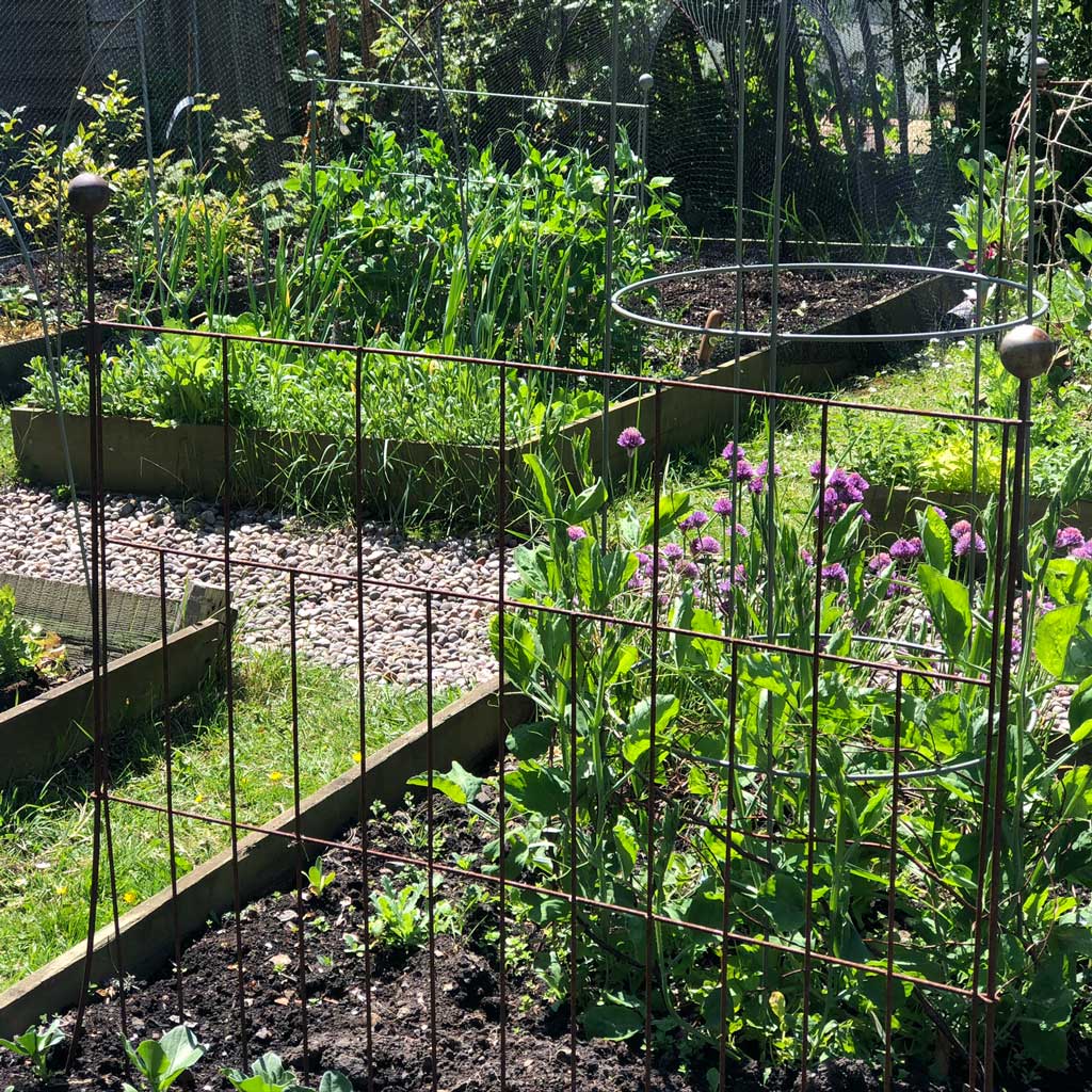 Elegance Pea & Pest Fence | Plant Frames | Agriframes USA