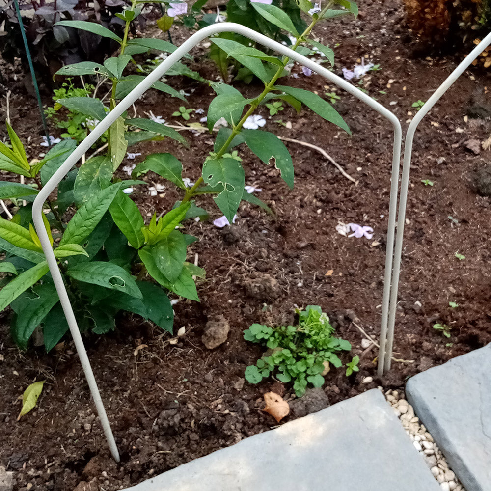 Garden Border Hoops (Pack of 6) | Garden Borders Edging | Agriframes USA