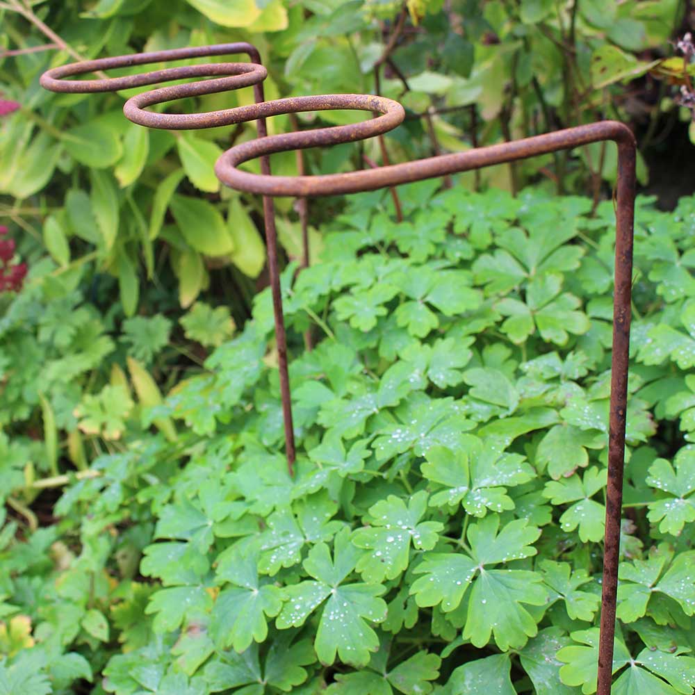 Plant Support - Rustic Metal | Agriframes USA